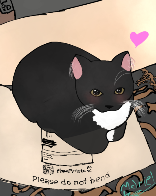 𝙼𝚊𝚡𝚠𝚎𝚕𝚕 𝚝𝚑𝚎 𝚌𝚊𝚝 💮 - ibisPaint