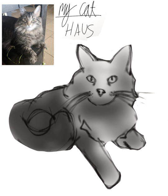 kitty cat!! - ibisPaint