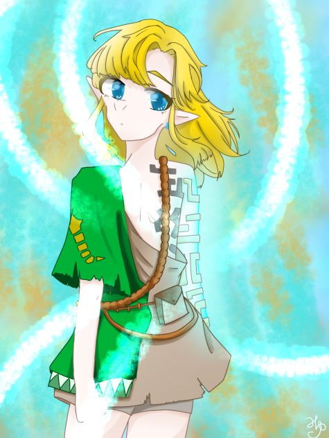 BotW続編のリンク - ibisPaint