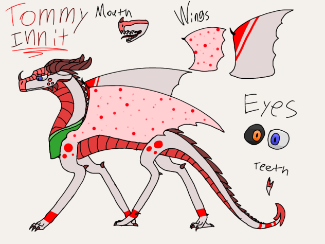 (DRAGONIFIED) Tommy Innit - ibisPaint