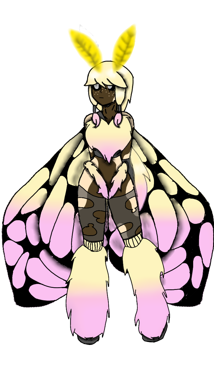 moth 🥰 - ibisPaint