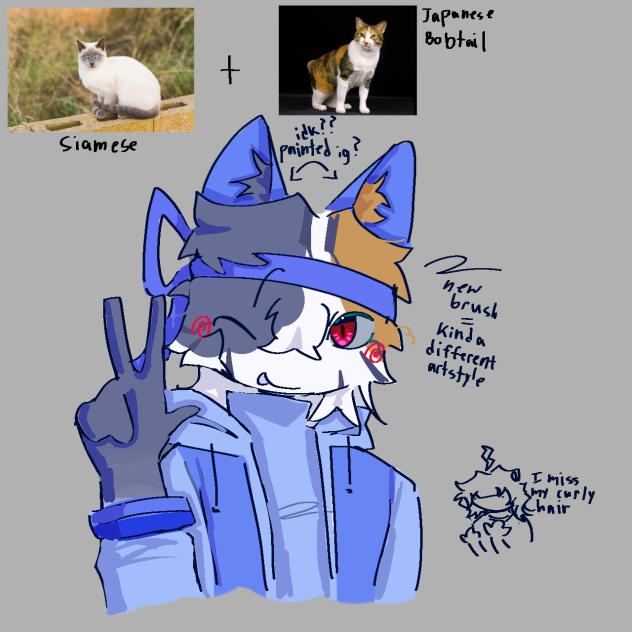 Redesign - ibisPaint