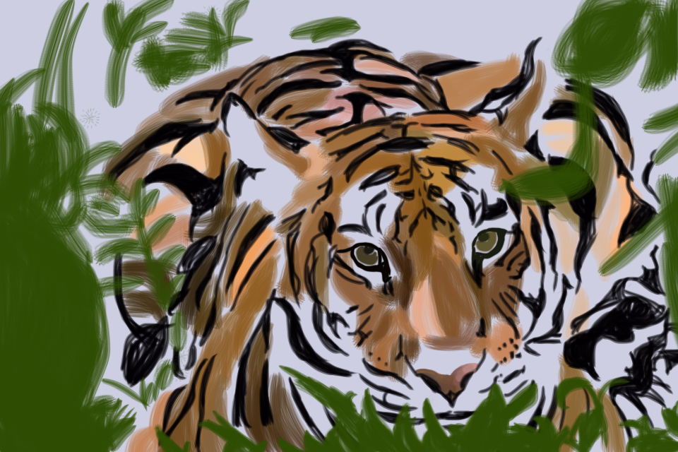 tiger tiger - ibisPaint