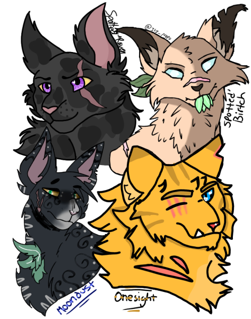 Warriors colbabolab - ibisPaint