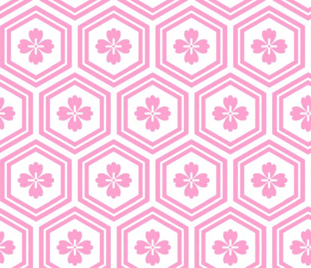 Kikko pattern 2 h - ibisPaint