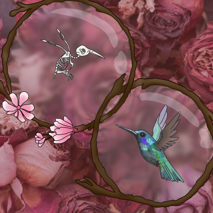 Death’s mirror - ibisPaint