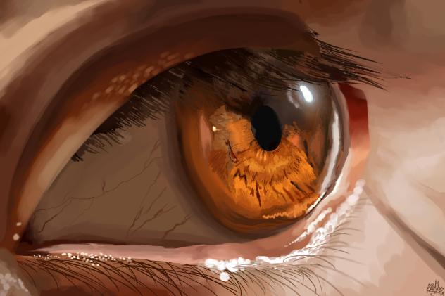 eyes - ibisPaint