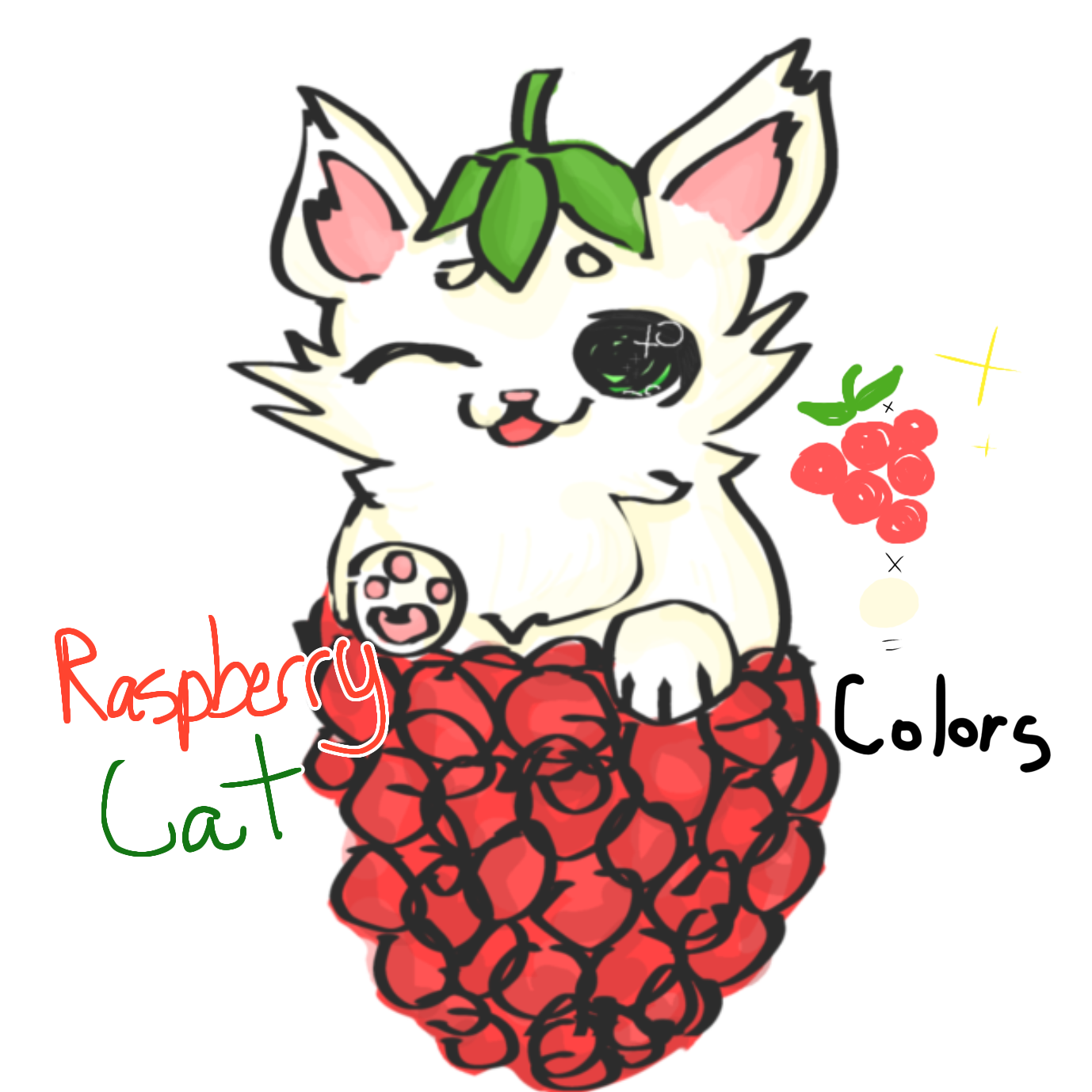 Raspberry Cat Ref - ibisPaint
