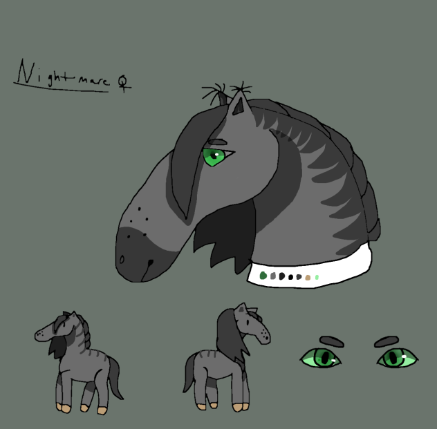 Nightmare - Horse ref sheet - ibisPaint