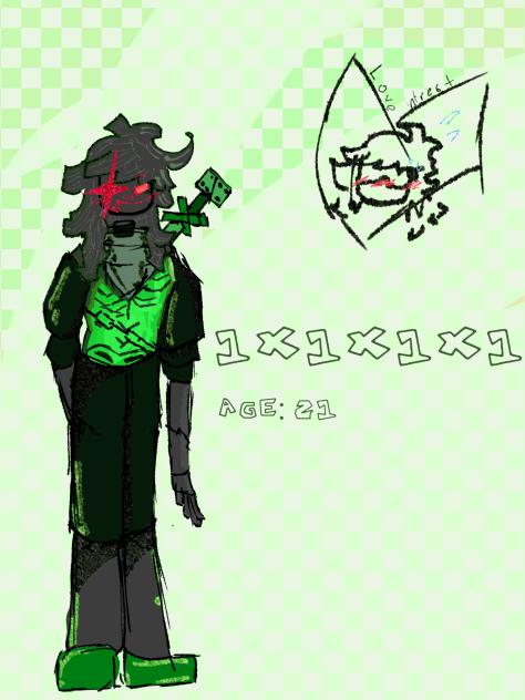 1x1x1x1 ref sheet - ibisPaint