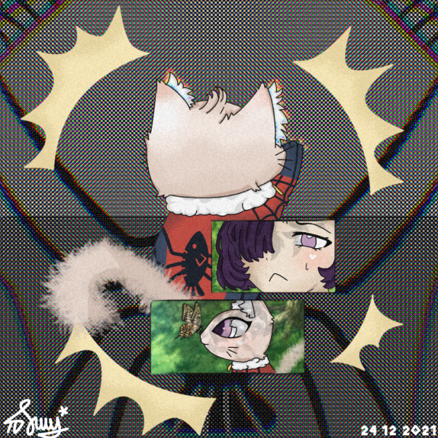 spider cat - ibisPaint