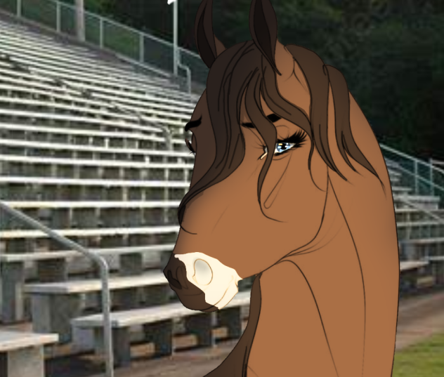 `` Seriously, again... `` - ibisPaint