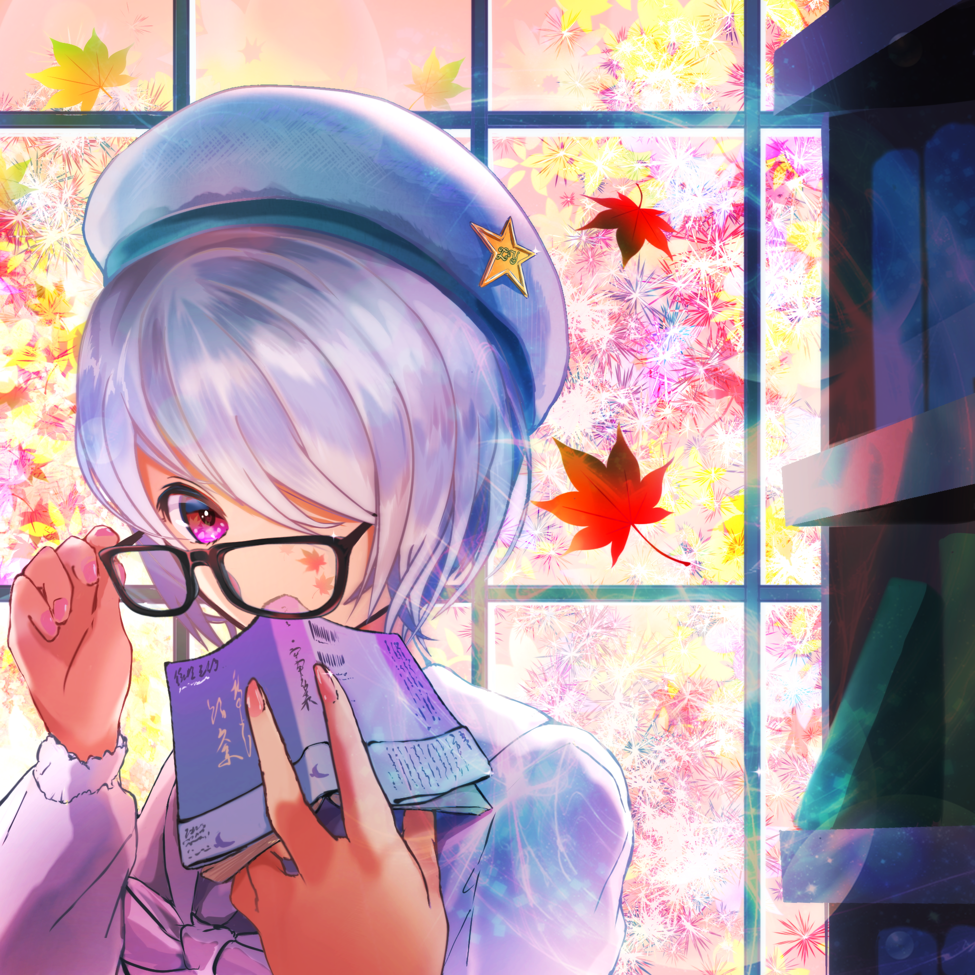 The library - ibisPaint