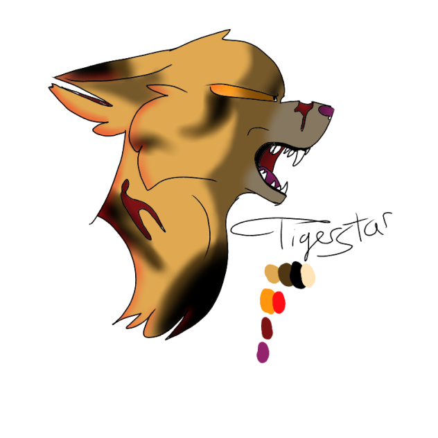 Warrior-Tigerstar-Speedpaint - ibisPaint