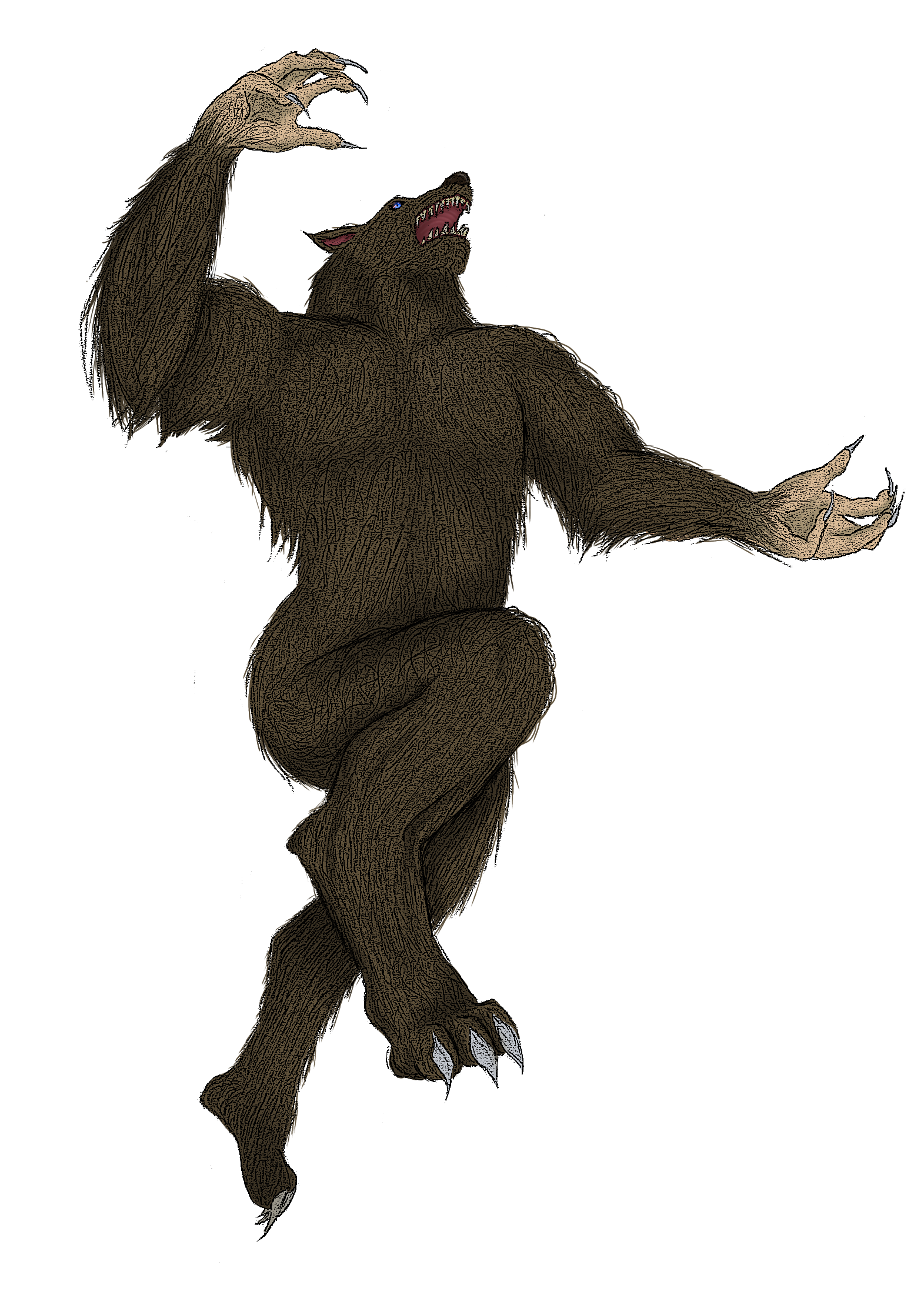 Lobinho 🐺😎 - ibisPaint