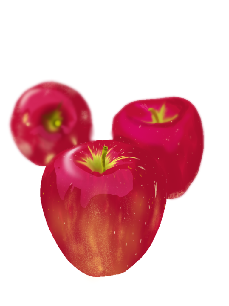 apple - ibisPaint