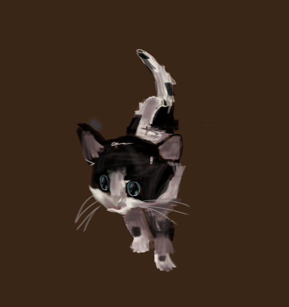 Layla the cat - ibisPaint