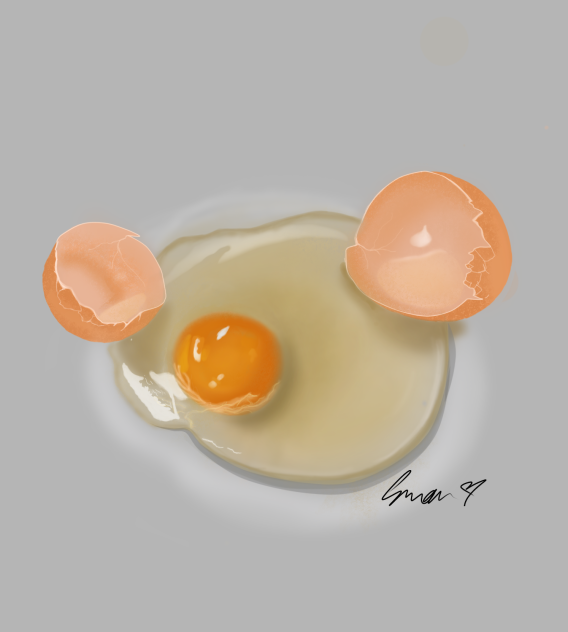 realistic egg🥚 - ibisPaint