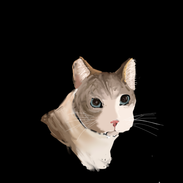 gato - ibisPaint