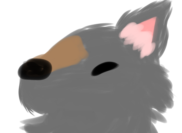 Realism Wolf 2 - ibisPaint