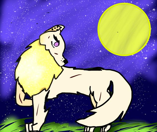 Midnight light - ibisPaint