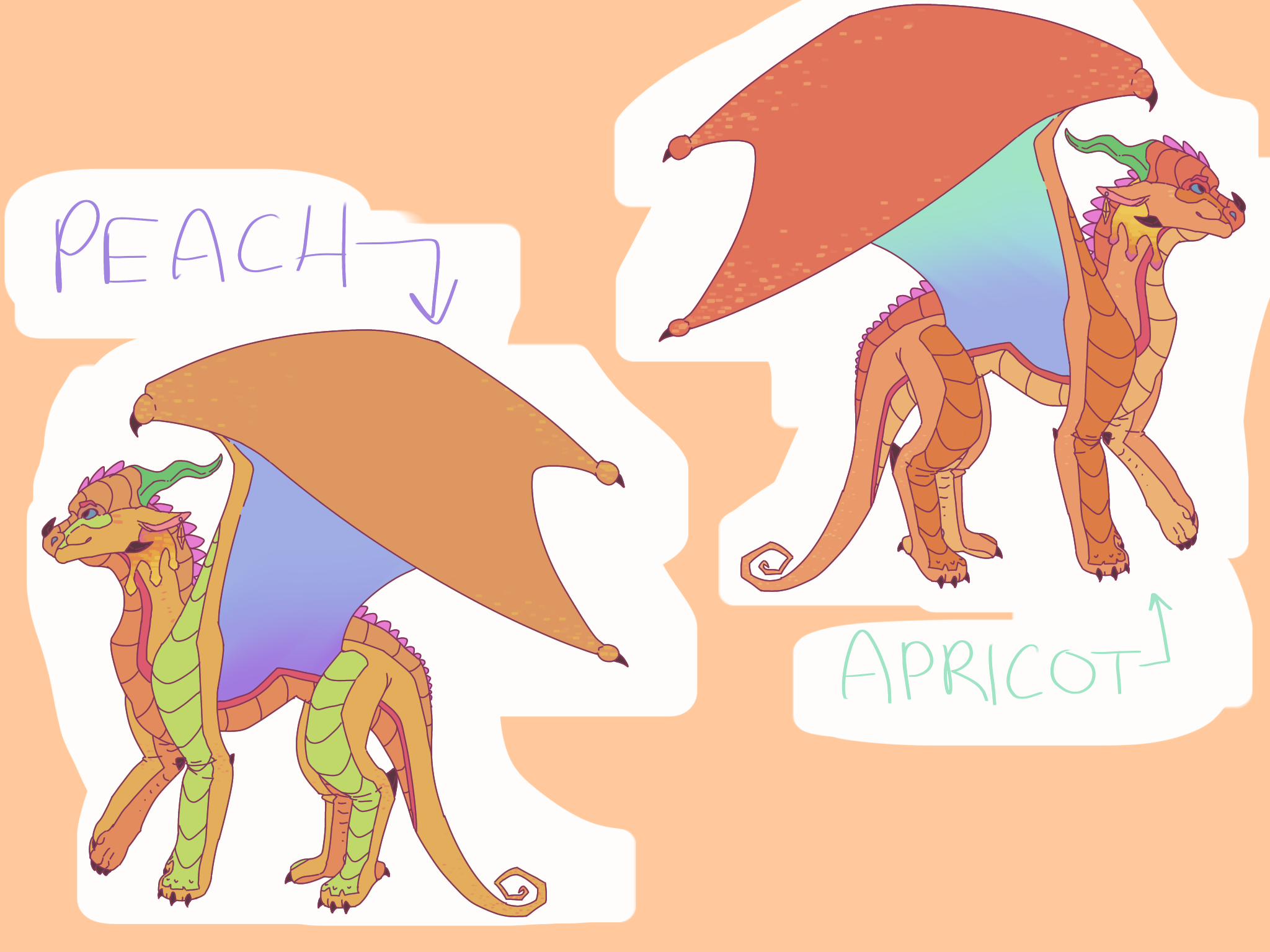 Peach and Apricot - ibisPaint