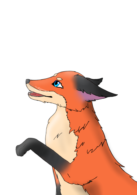 renard - ibisPaint