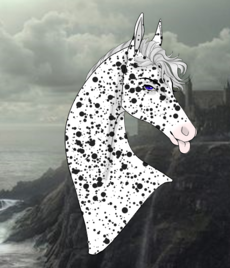 ~ Vaemond Velaryon ~ - ibisPaint