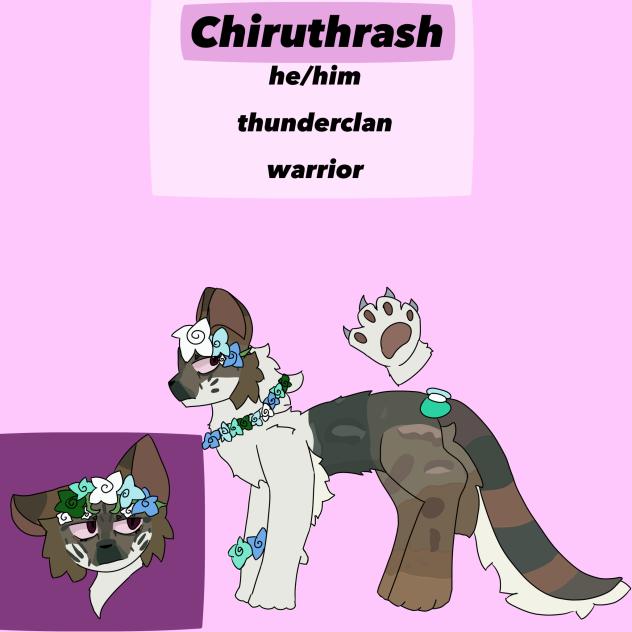Chiruthrash ref - ibisPaint