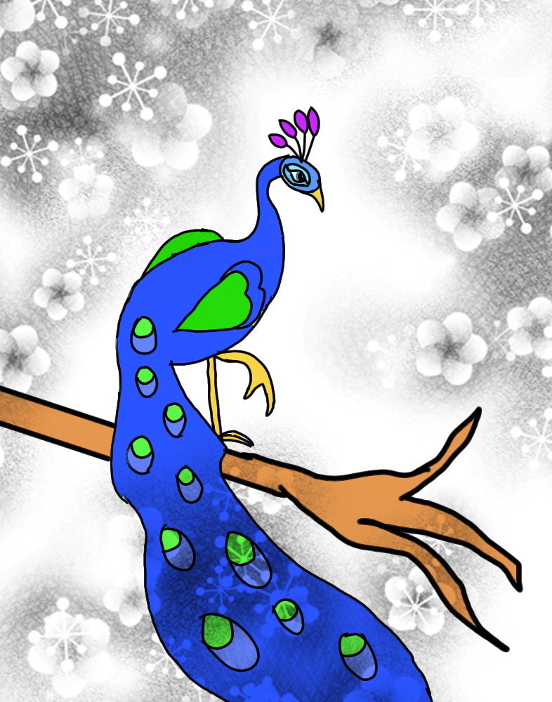 peacock - ibisPaint