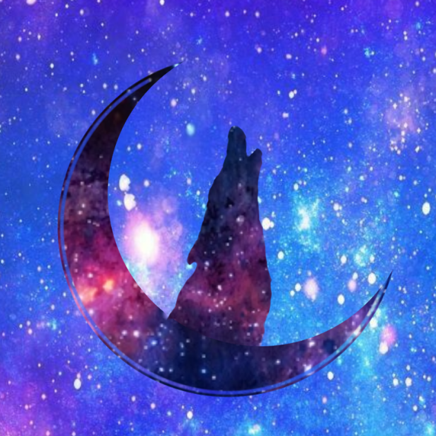 Galaxy wolf - ibisPaint