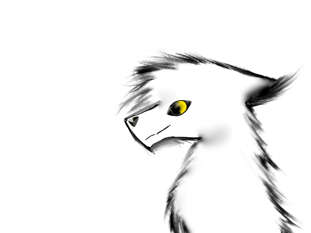 white-wolf speedpaint - ibisPaint