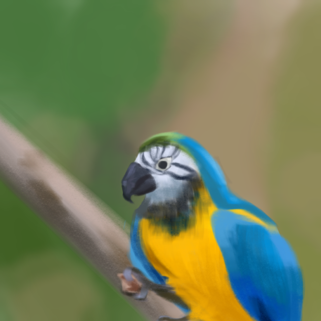 Parrot - ibisPaint