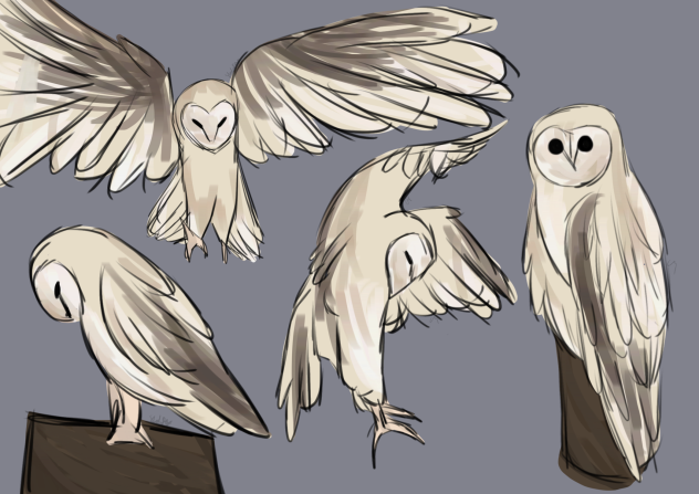 ^ Barn Owls ^ - ibisPaint