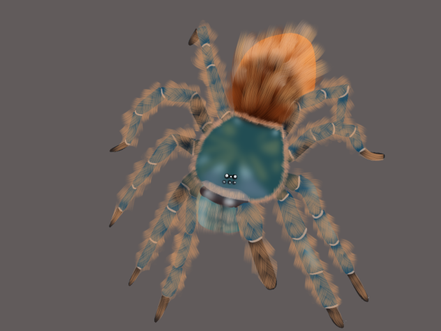 Green bottle blue tarantula - ibisPaint