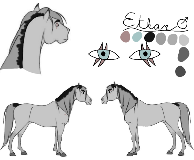 Ethan - Reference sheet - ibisPaint