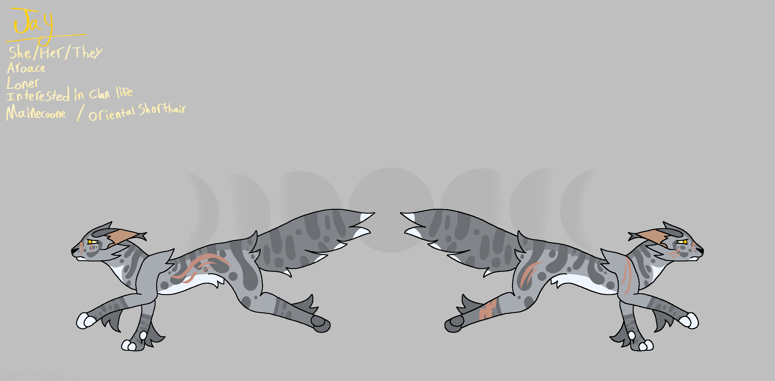 Warriorsona ( persona oc thingy idk - ibisPaint