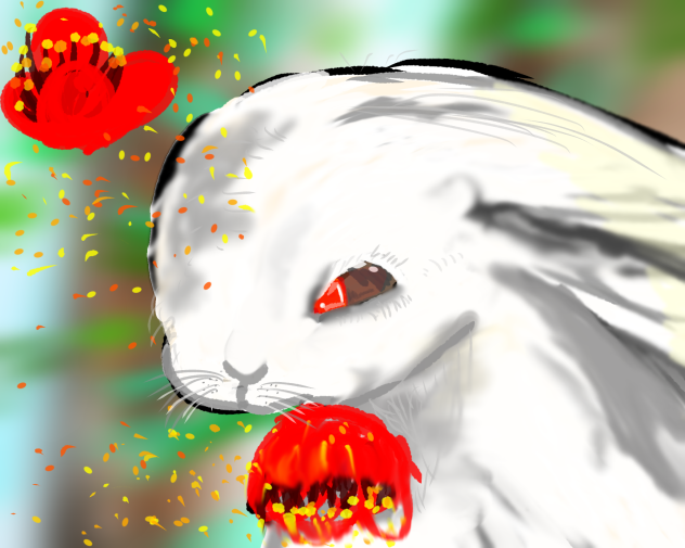 Rabbit🐇 - ibisPaint