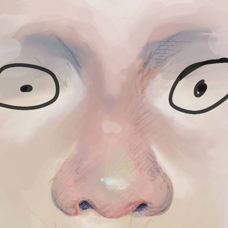 nose study - ibisPaint