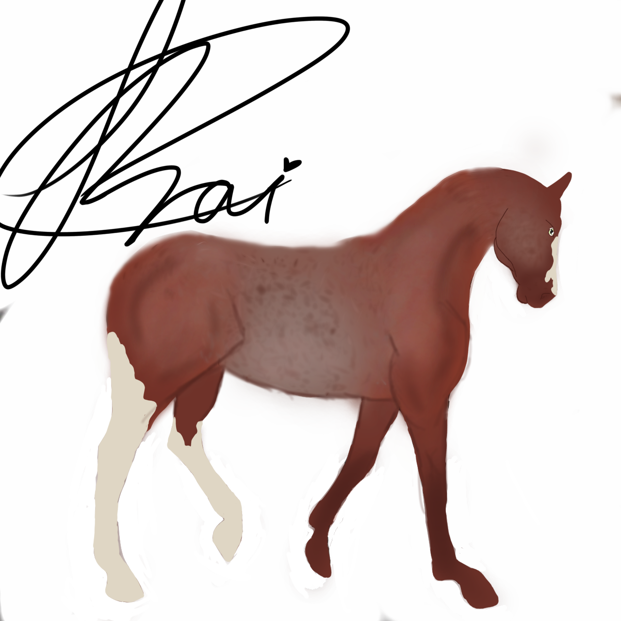 SSO DutchWarmBlood Coat Idea - ibisPaint