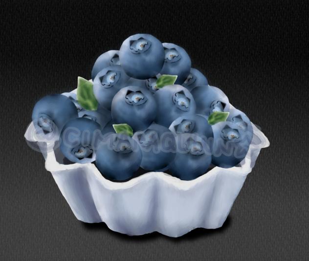 More Blueberries!! - ibisPaint