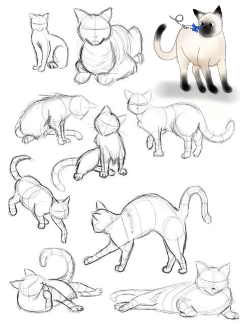 🎀Cute kitten collab! 🎀 - ibisPaint