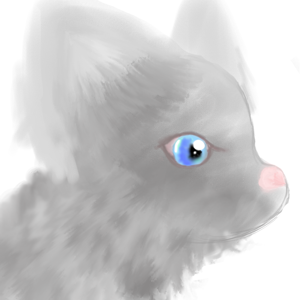 Grey cat - ibisPaint