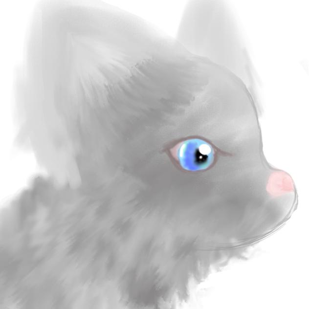 Grey cat - ibisPaint