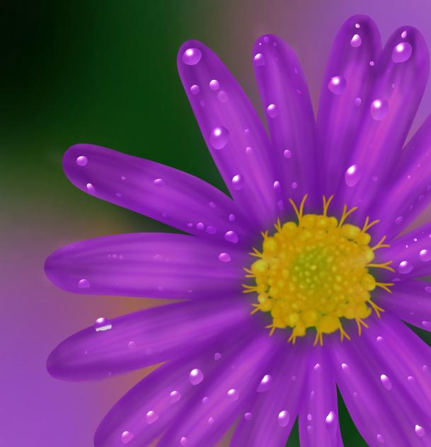 Aster monch - ibisPaint