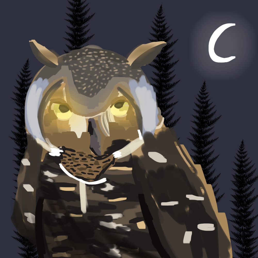 boop owl - ibisPaint