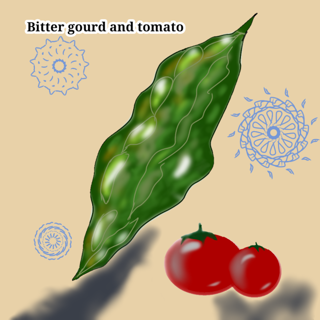 bitter gourd and tomato - ibisPaint