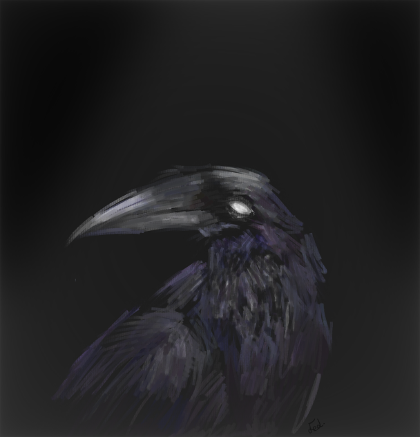 Crow - ibisPaint