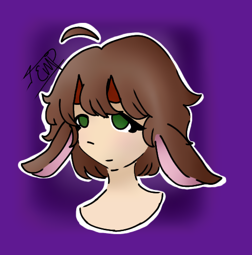 I drew riot is missing - ibisPaint