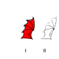 bat wing movement - ibisPaint